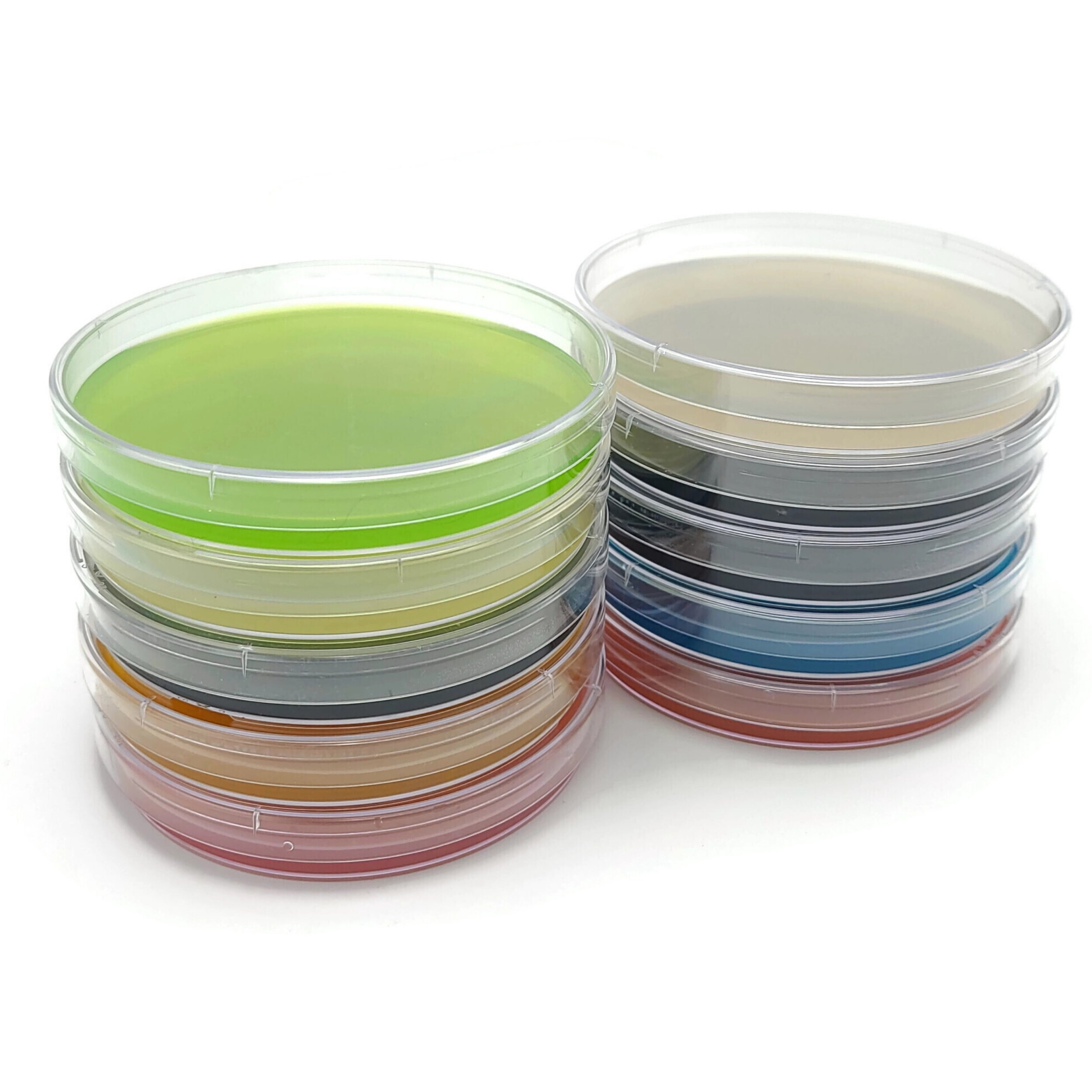 Mushroom Growing Supply Kit - Seismic Spore