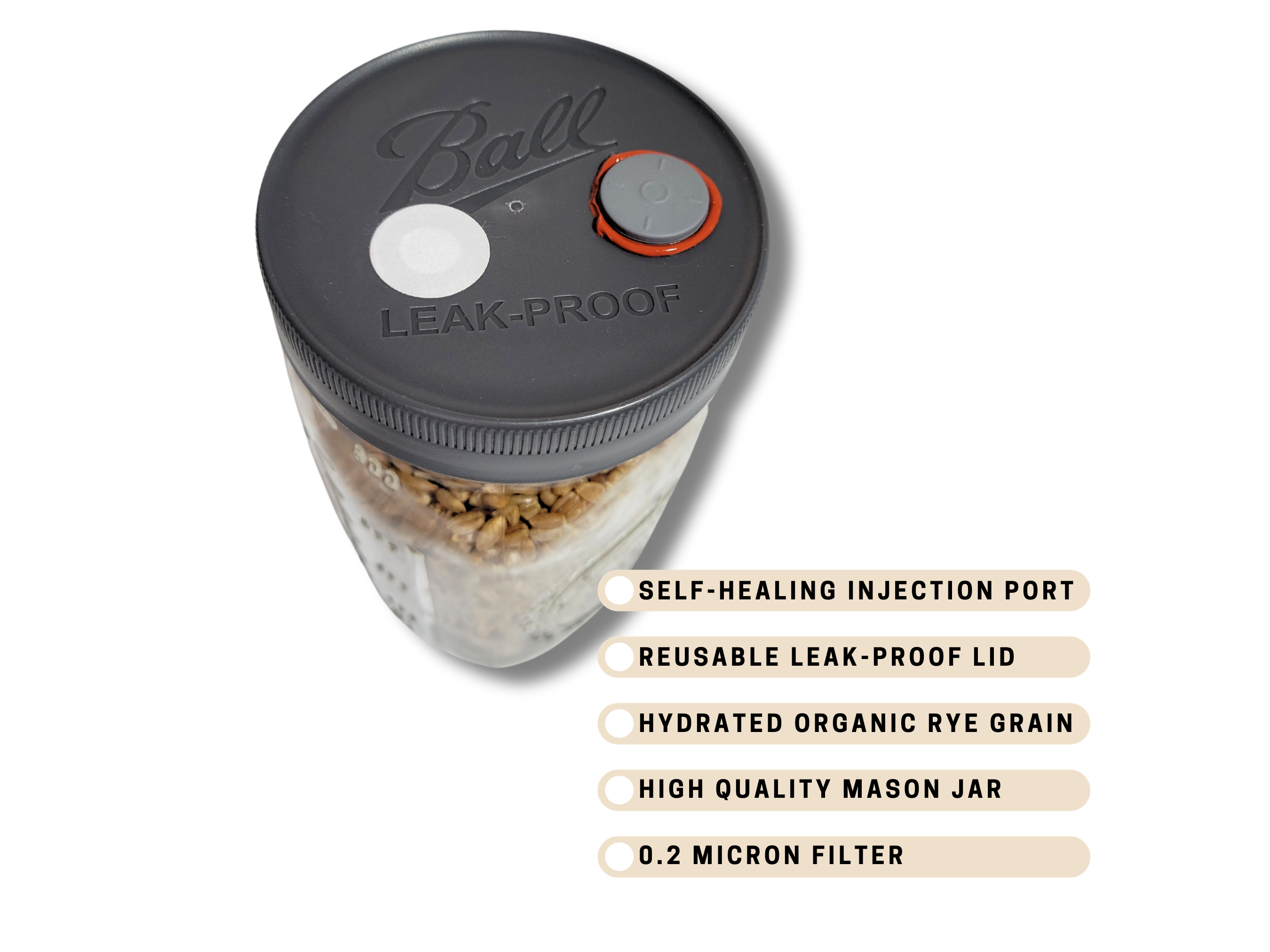 Quart Rye Grain Jar - Organic Sterilized Rye - Seismic Spore