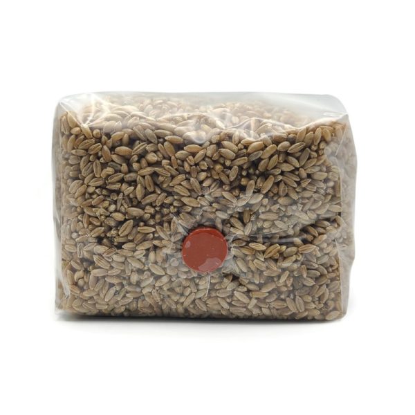 Rye Bag / CVG Combo Packs - Seismic Spore