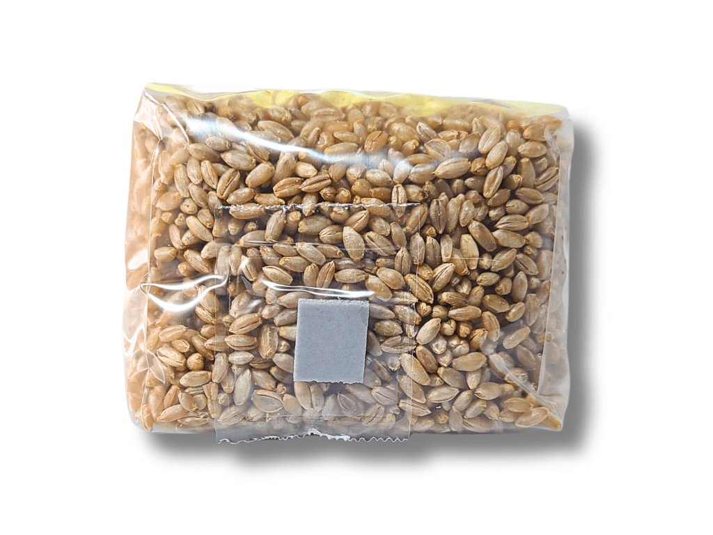 1 Lb. Rye Grain Bag - Organic Rye - Seismic Spore