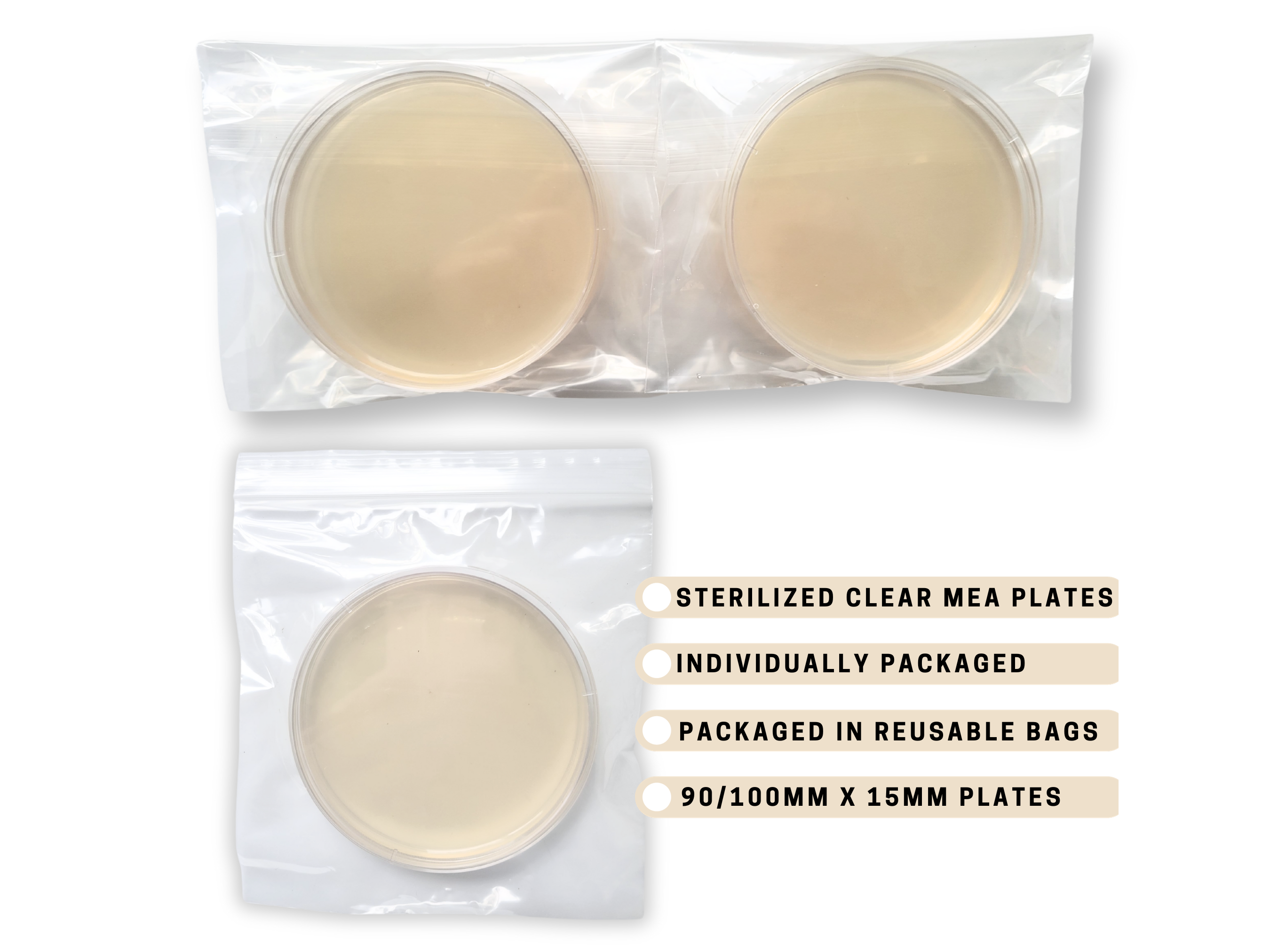 Clear Malt Extract Agar Plates - 10 Pack - Seismic Spore