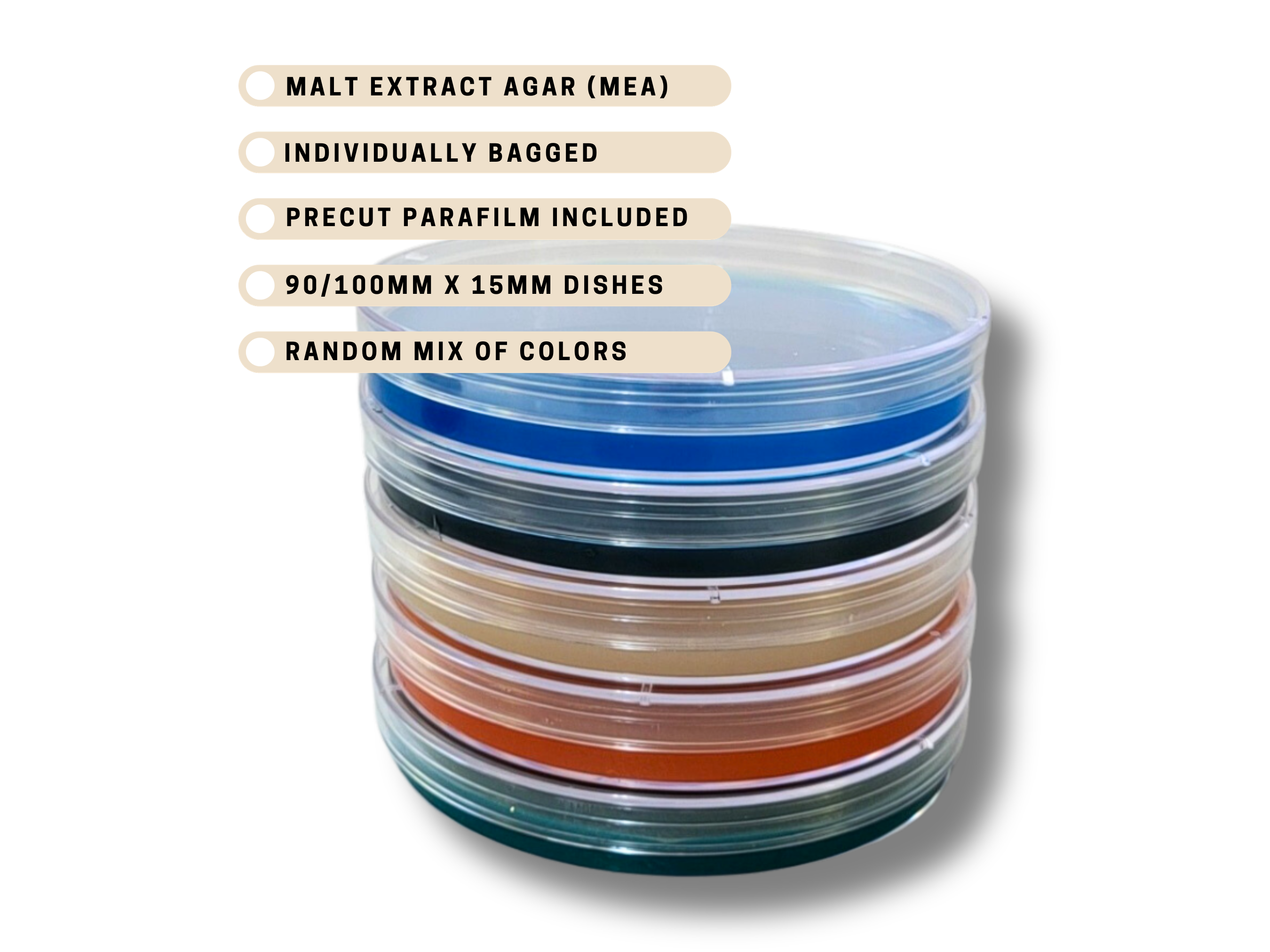 All-In-One Grow Jar & 5 Agar Plates - Seismic Spore