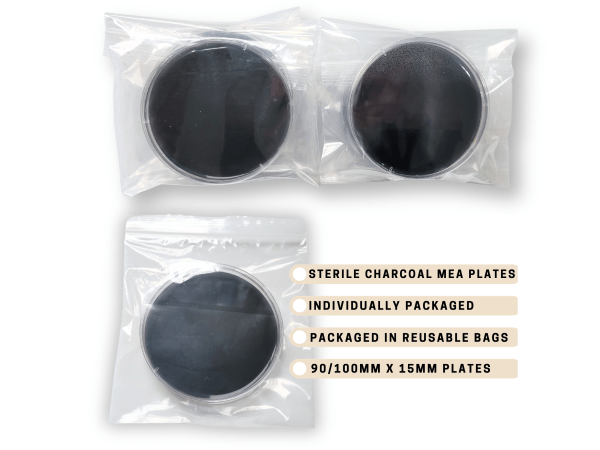 Charcoal Malt Extract Agar Plates - 10 Pack - Seismic Spore