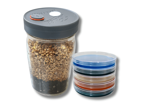 All-In-One Grow Jar & 5 Agar Plates - Seismic Spore