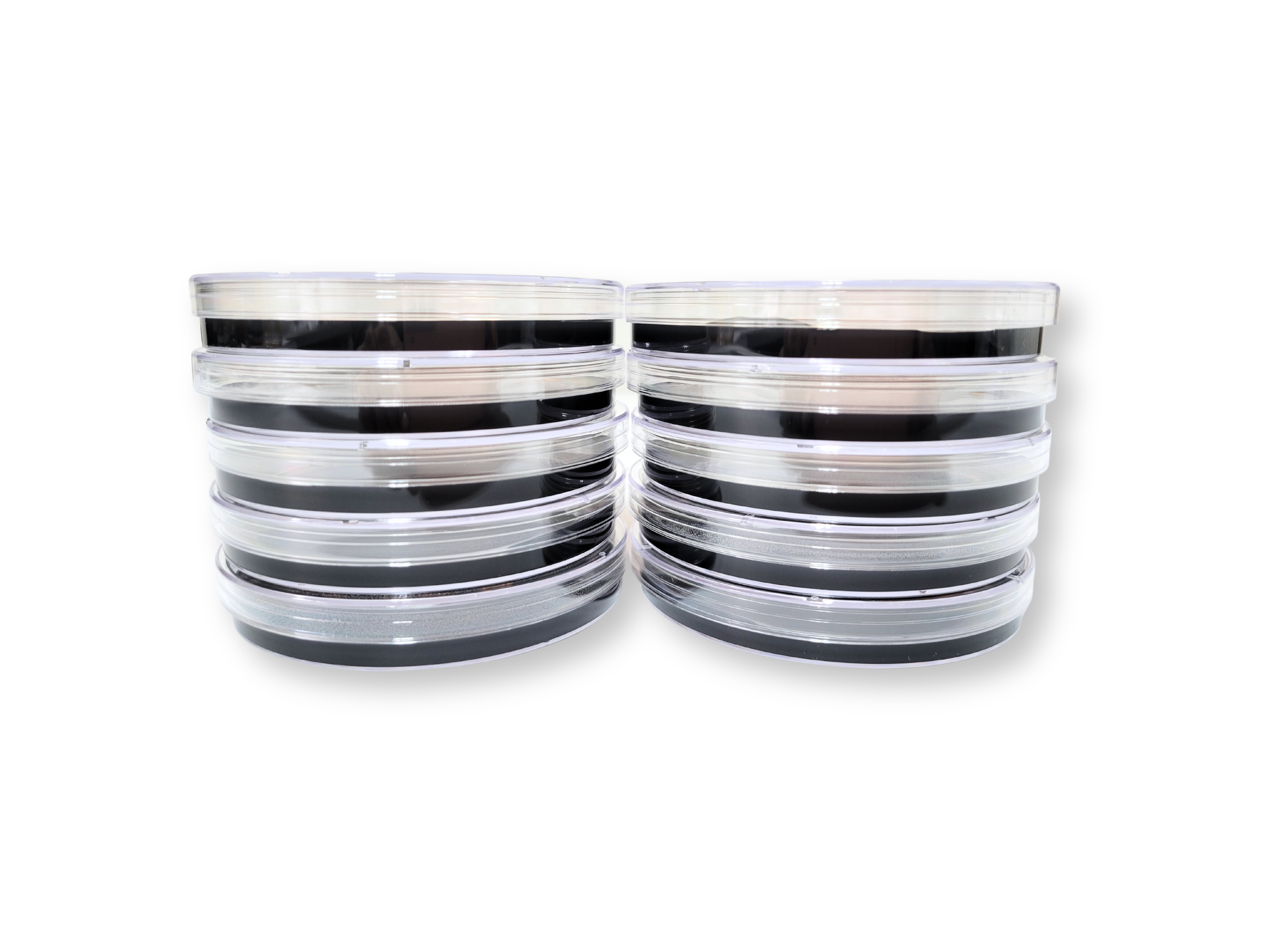 Charcoal Malt Extract Agar Plates - 10 Pack - Seismic Spore