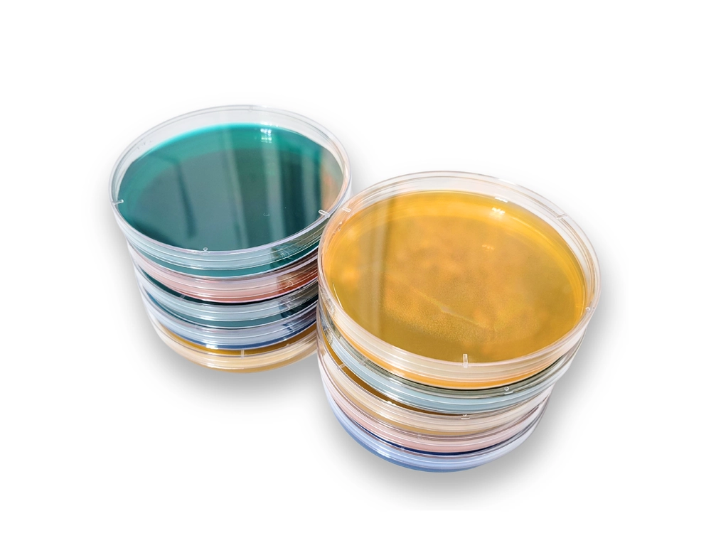 Assorted Color Malt Extract Agar Plates - 10 Pack - Seismic Spore