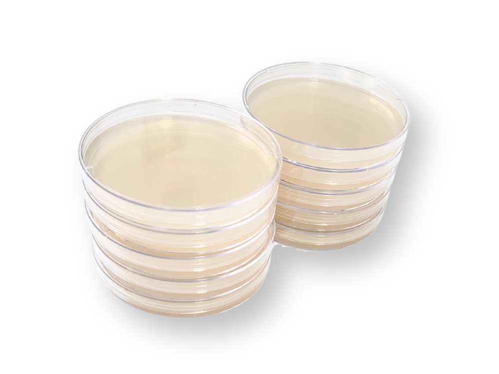 Clear Malt Extract Agar Plates - 10 Pack - Seismic Spore