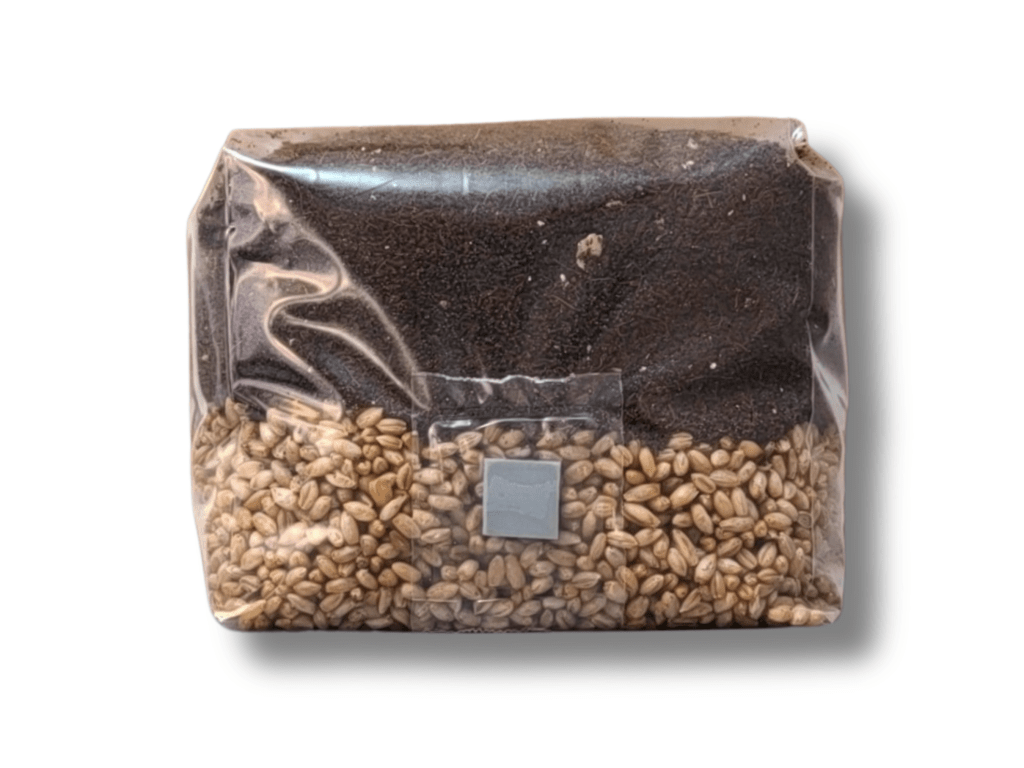 2½ Lb Mushroom Grow Bag - All In One - Seismic Spore