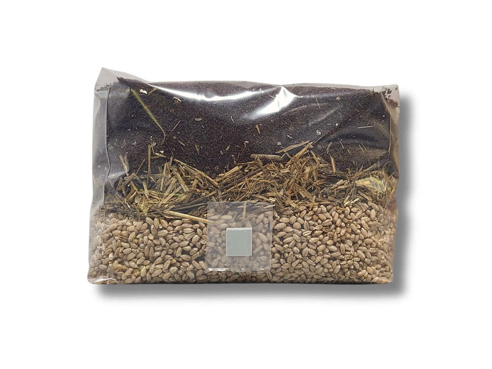5 Lb Mushroom Grow Bag - All In One with Straw and Manure - Seismic Spore