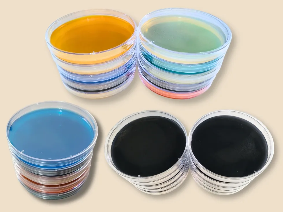 Premium Mushroom Growing Supplies - Seismic Spore